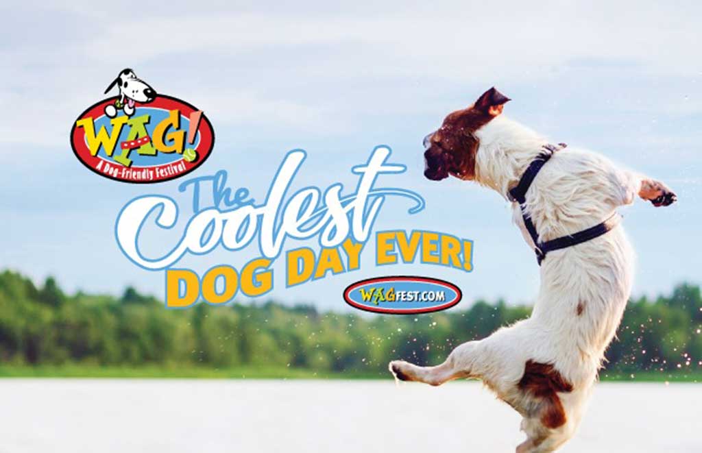 WAG! Fest 2023 - QFM96